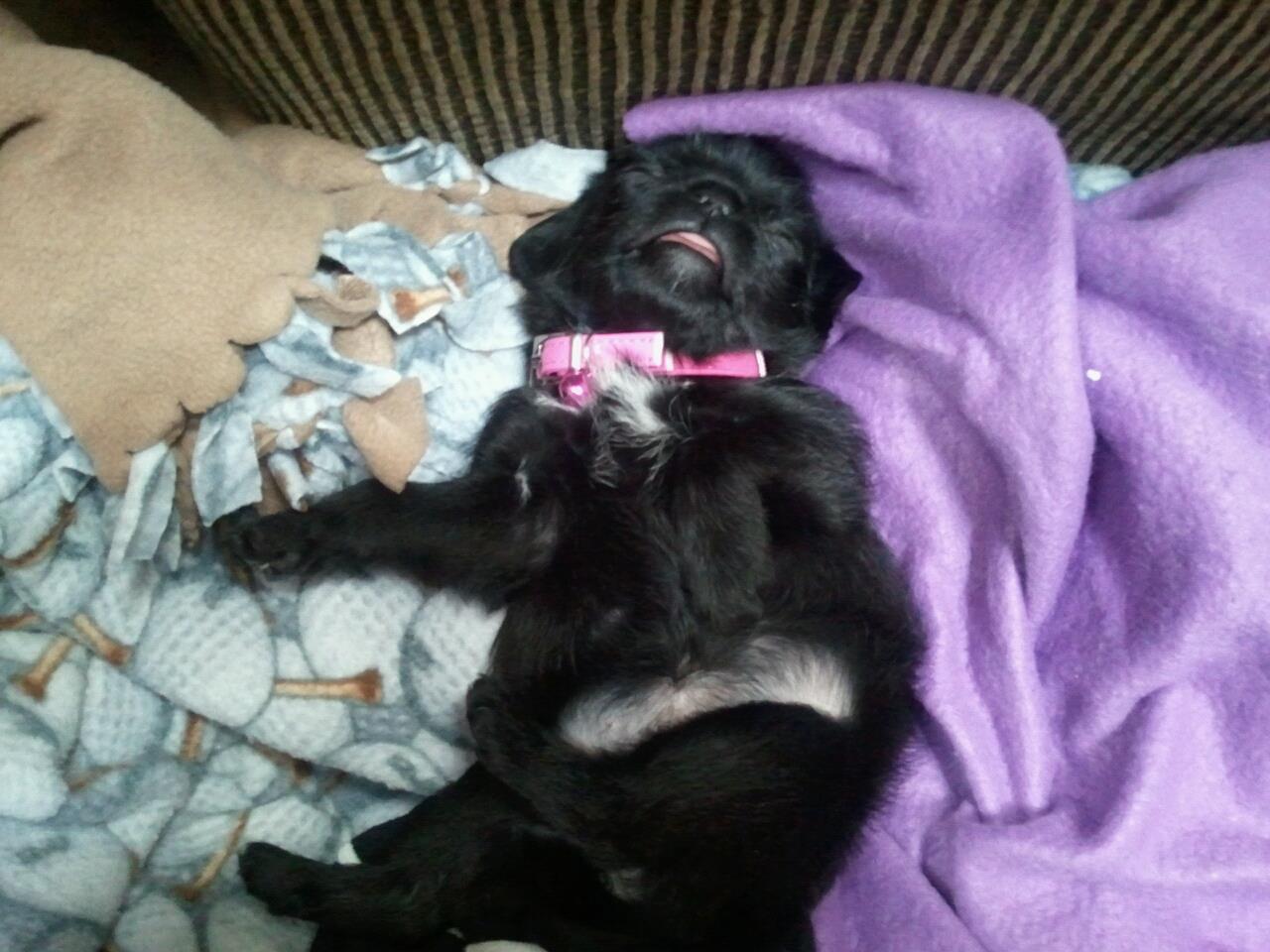 More Life: A Letter to My Baby Love, Ozilla – the desire to be dissolved